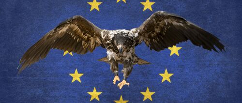 Europe's debt hawks are flapping their wings – European integration ...