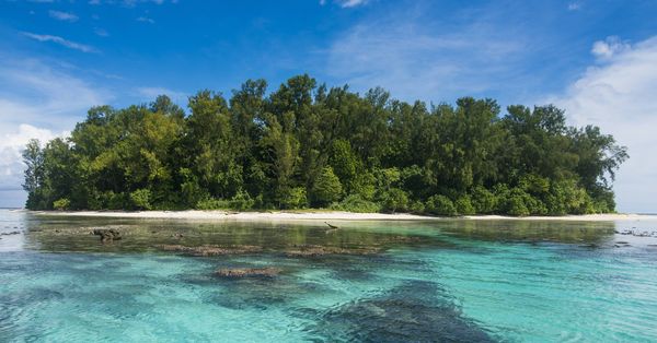 A new country in the Pacific — Bougainville – Foreign and security ...