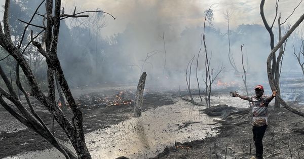 Fossil fuel supermajors in Nigeria: fleeing the crime scene – Economy ...