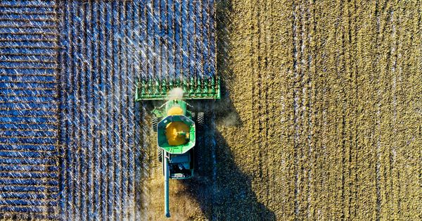The global food system is broken – Economy and ecology | IPS Journal